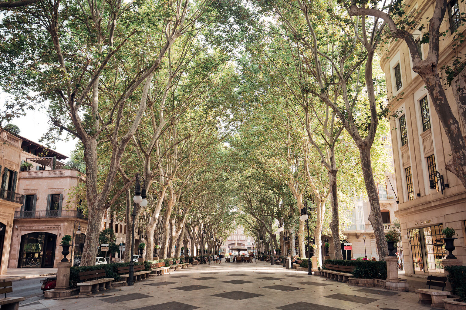 Palma Old Town (Casco Antiguo) – Historic Quarter Guide to Landmarks ...