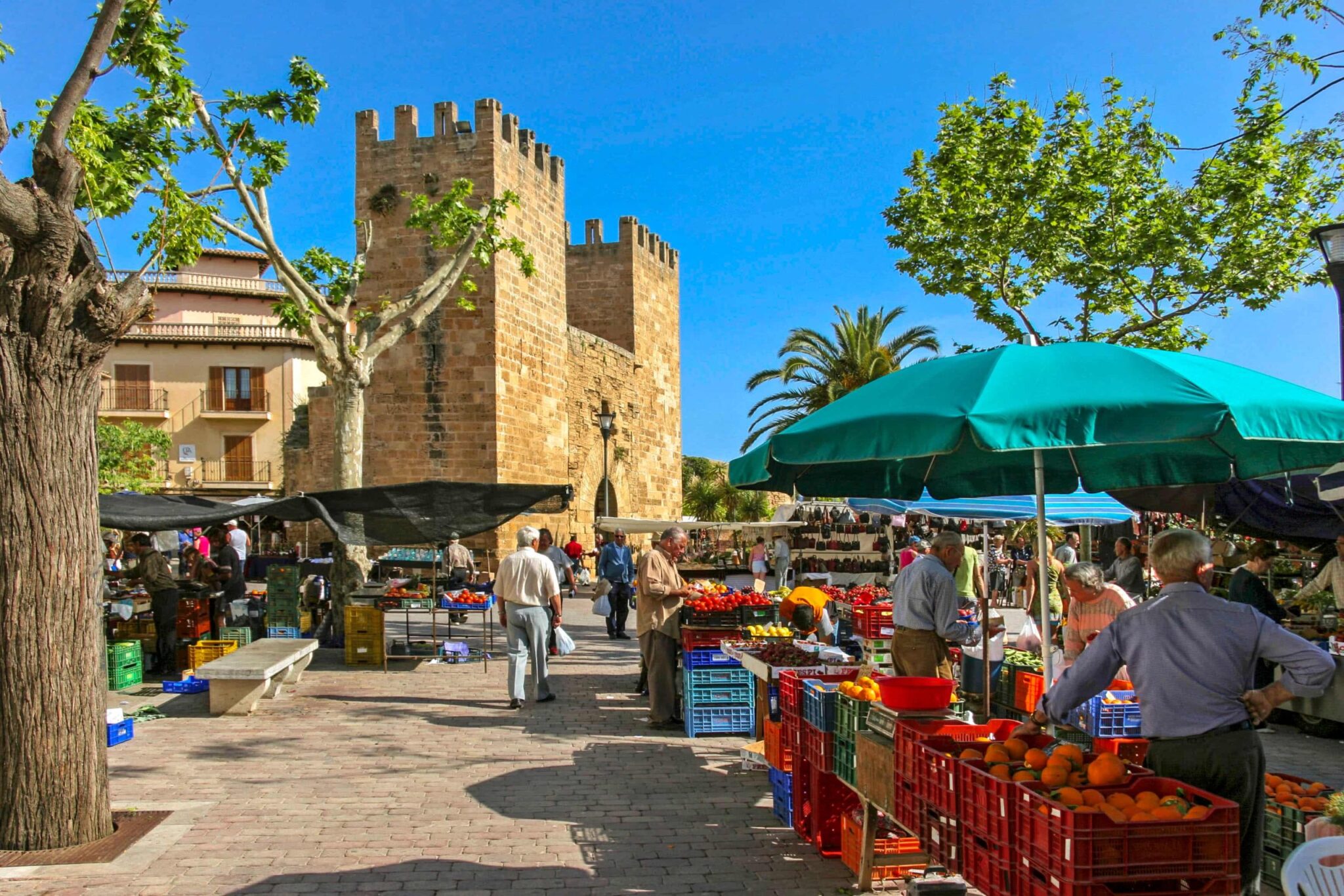 Markets in Mallorca: What’s On and Where Each Day