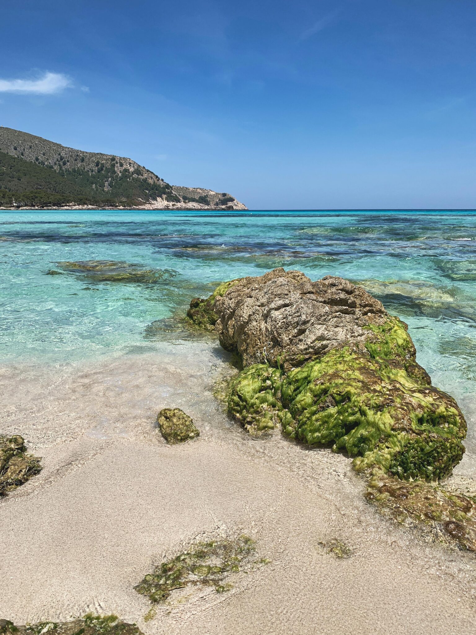 Natural Parks in Mallorca – Complete Guide to Hiking, Beaches & Wildlife