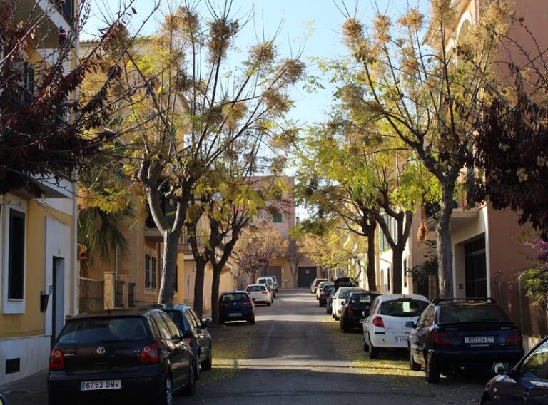 Consell Mallorca – Wine Village & Antiques Market Guide